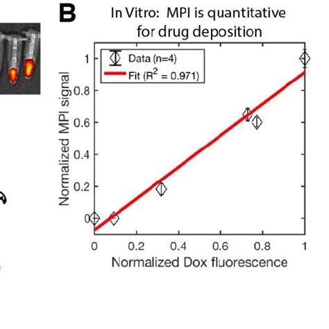 Magnetic Particle Imaging Mpi Is Able To Quantify The Delivery Of