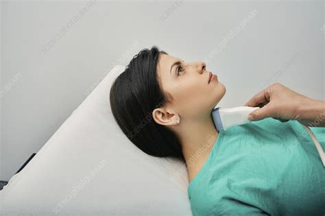 Thyroid Ultrasound Scan Stock Image F036 9368 Science Photo Library