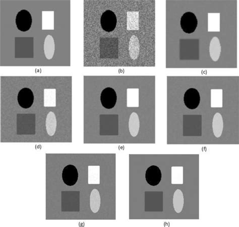 Qualitative Comparisons Of Oct De Speckling Techniques A Original Oct Download Scientific
