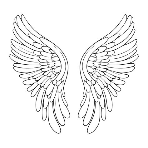 Premium Vector Vector Cartoon Style Angel Wings Outline Icon For
