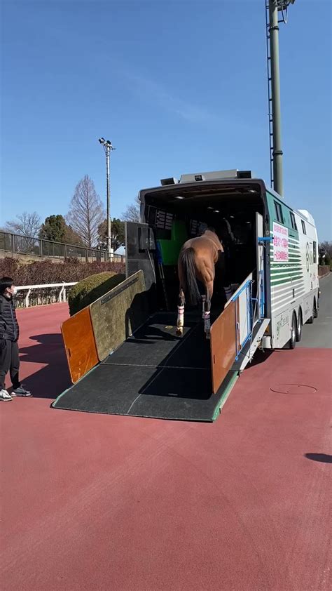 Allyson Walker Allysonkwalker Twitter