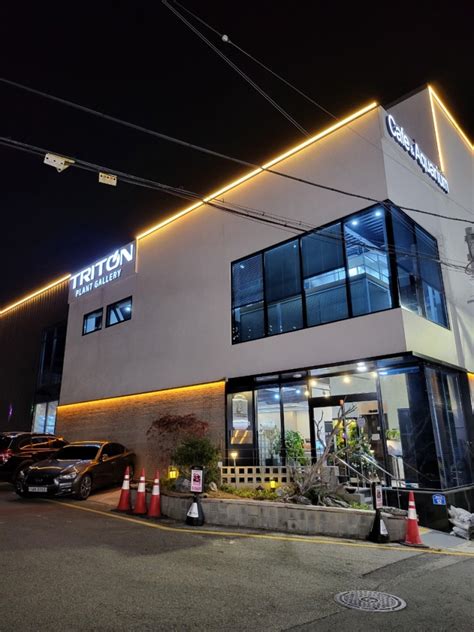 대구 달성군 다사 수족관 카페 트라이톤 플랜트갤러리 네이버 블로그