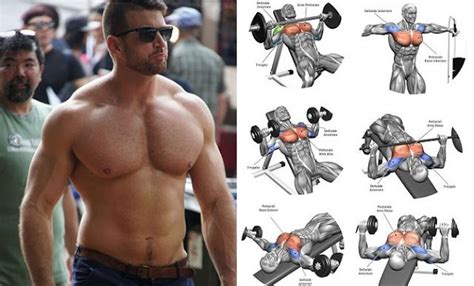 The Best Chest Exercises For Men To Include In A Workout