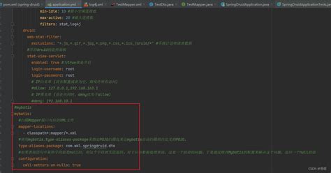 Springboot 用dynamic Datasource Spring Boot Starter配置druid多数据源dynamic