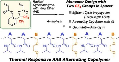 可转化二乙烯基单体与单乙烯基单体的自由基环共聚合及后聚合改性合成nipam和乙烯基醚组成的aab型交替共聚物 Macromolecules X Mol