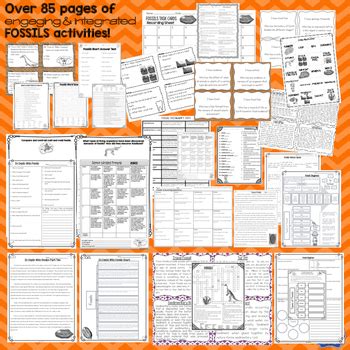 Fossils Unit Games Activities Assessments Bundle By Bow Tie Guy And Wife