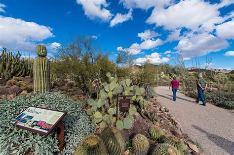 Top Tucson Az Attractions You Cant Miss This Year
