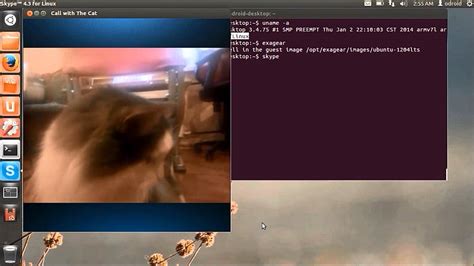 running intel x86 apps on raspberry pi 1 and 2 electronics