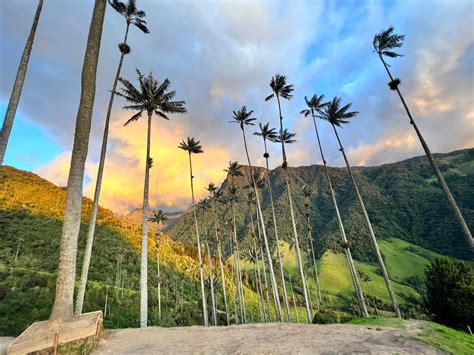 ¿dónde Queda El Valle De Cocora Accesos Mapas Y Distancias