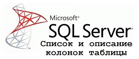 Как узнать тип данных в Sql