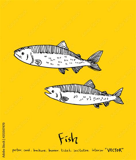 Стоковий вектор 해산물 일러스트 손으로 그린 수산물 그림 Adobe Stock