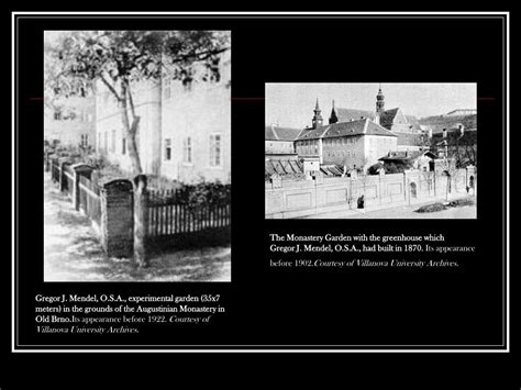 PPT Gregor Mendel PowerPoint Presentation Free Download ID