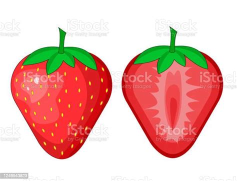 레드 베리 딸기와 흰색 배경에 고립 된 딸기의 절반 플랫 스타일 래스터 버전의 일러스트 3 명에 대한 스톡 벡터 아트 및 기타 이미지 3 명 개체 그룹 건강한 생활