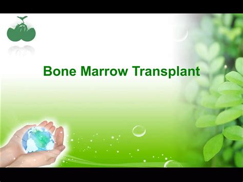 Bone Marrow Transplant Ppt