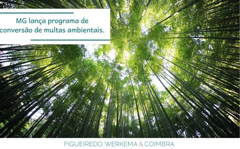 Mg Lança Programa De Conversão De Multas Ambientais Figueiredo