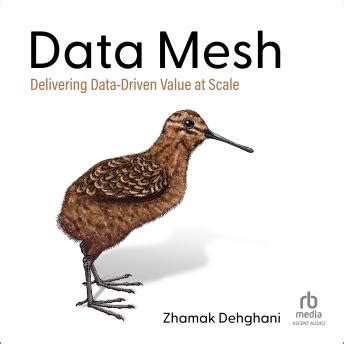 Listen Free To Data Mesh Delivering Data Driven Value At Scale By