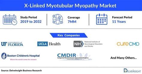 Understanding X Linked Myotubular Myopathy