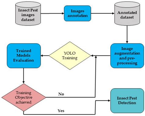 Applied Sciences Vol 12 Pages 10167 Deep Learning Based Detector Yolov5 For Identifying
