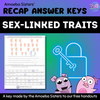Sex Linked Traits Recap Answer Key By The Amoeba Babes Answer Key