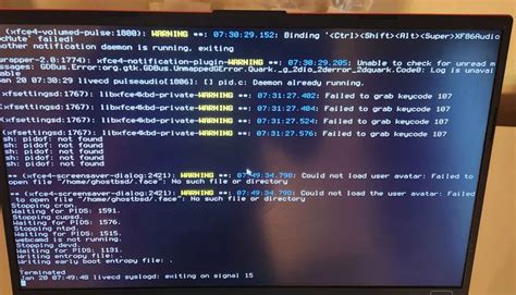 Cannot Boot Into Live Environment Ghostbsd Forums