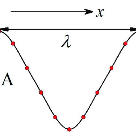 A Killer Whale B The Cross Section Curve Of Ridges Download Scientific Diagram