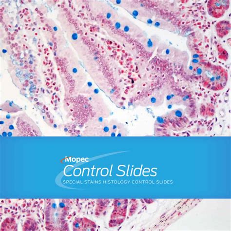 Control Slides Mopec