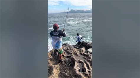 Buen Mahi Mahi Pez De Orilla Fishing Pesca Fish Pezsalvaje