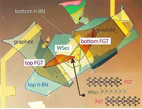 세계 최초 위상 자성체 스핀 물성 측정·분석 기술 개발… 양자소재 실용화 ‘한발