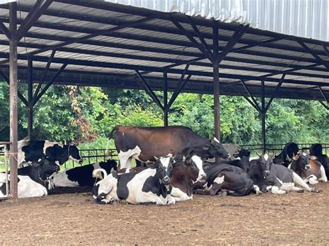 สศท 6 สำนักงานเศรษฐกิจการเกษตรที่ 6 จังหวัดชลบุรี