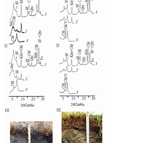 Xrd Patterns Of The Download Scientific Diagram
