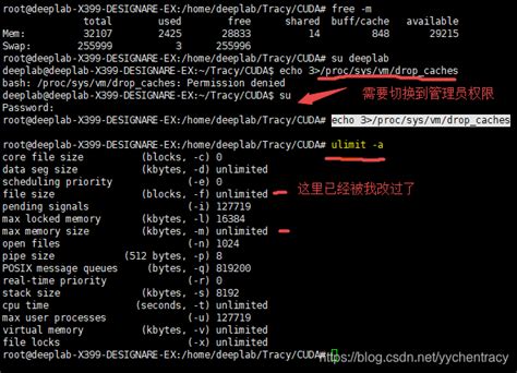 CUDA编程Segmentation fault core dumped 启动cuda segmentation fault CSDN博客
