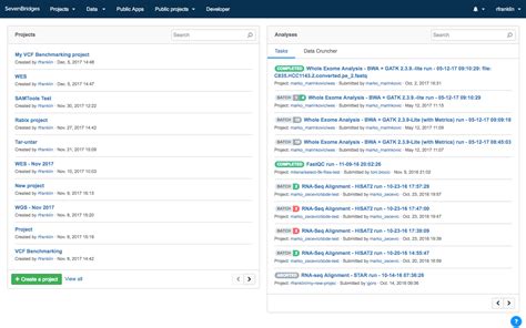Access Via The Visual Interface