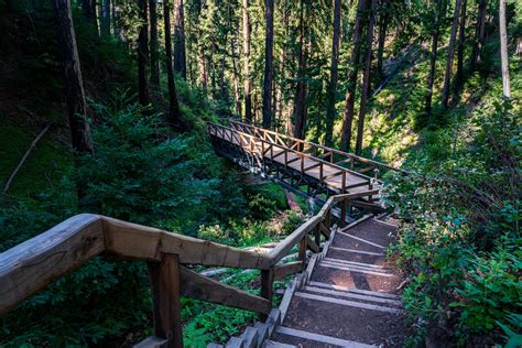 Hiking To Pfeiffer Falls In Big Sur In The Field 527 — Scott