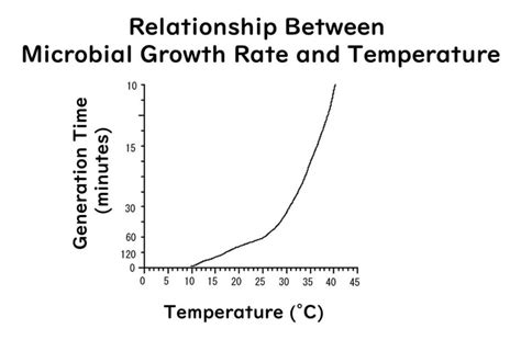 Microbial Growth And Temperature Key Insights For Food Safety Introduction To Food