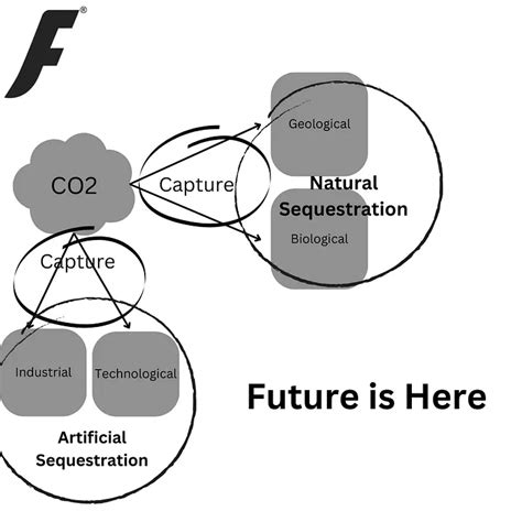 Carbon Sequestration — A Future Focused Tool