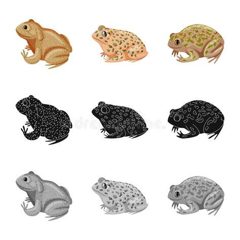 Vector Illustration Of Wildlife And Bog Sign Collection Of Wildlife And Reptile Vector Icon For