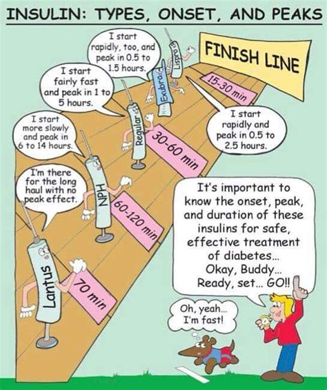 Insulin Duration Times Pharmacology Nursing Nursing School Tips