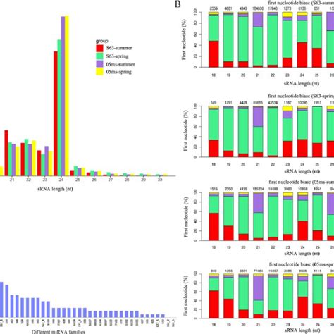 The Character Analysis Of Small Rna Srna In The Sterile Line 05ms And Download Scientific
