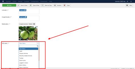 J3xadding Custom Fieldssql Field Joomla Documentation