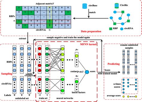 Schematic Diagram Of Matrix Factorization With Neural Network 1 The Download Scientific