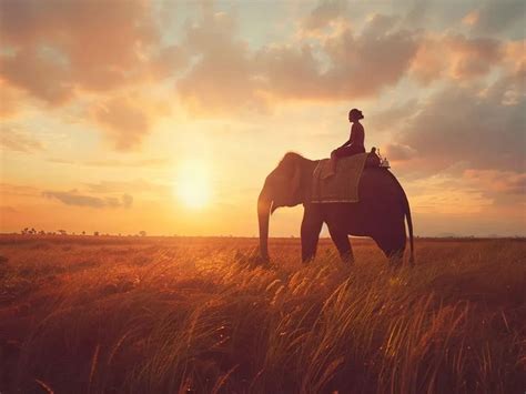 Optimizing Performance In Unity How To Make Your Game Run Smoothly