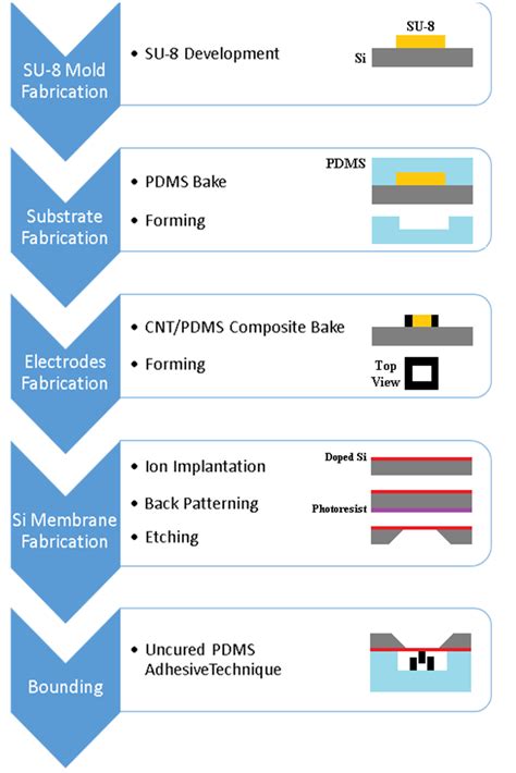 Design And Finite Element Analysis Of A Mems Based Capacitive Pressure Sensor Using Cnt Pdms