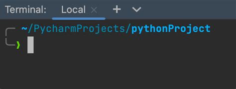 Prompt Looks Different On Two Different Terminals Rzsh