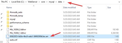 Установка Apache Php Mysql и Phpmyadmin в Windows Profit Zip