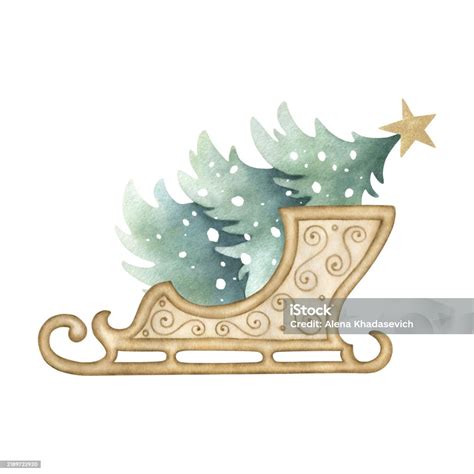 전나무와 화려하게 패턴이 있는 크리스마스 나무 썰매 황금빛 별들로 덮인 가문비나무 손으로 그린 수채화 고립 된 그림 새해 인사말 카드 축제 포장 및 디자인 2026년에 대한