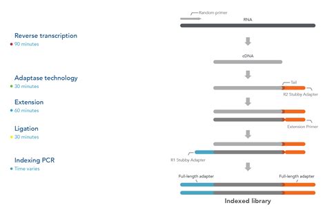 Xgen Broad Range Rna Library Prep Kit Idt