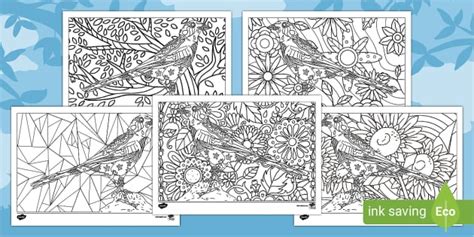 Free Magpie Mindfulness Colouring Activity Teacher Made