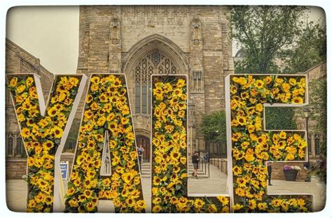 Yaleuniversity Anat Yogev