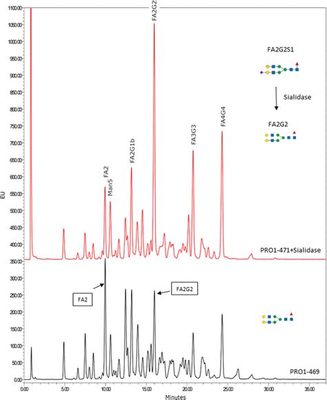 Comparison Of Hilic Uplc Fld Chromatograms With No Offset On The X Download Scientific Diagram