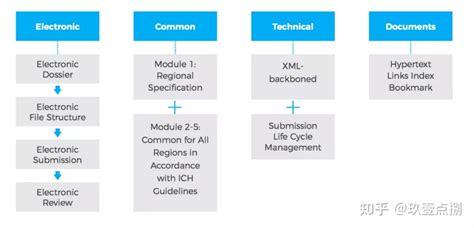 自2021年12月29日起药品申报正式进入ectd 知乎